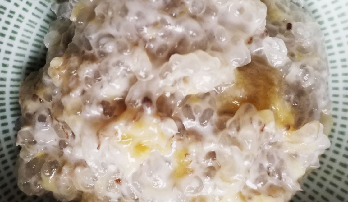 Tapioca banane coco – Polars et pot au feu