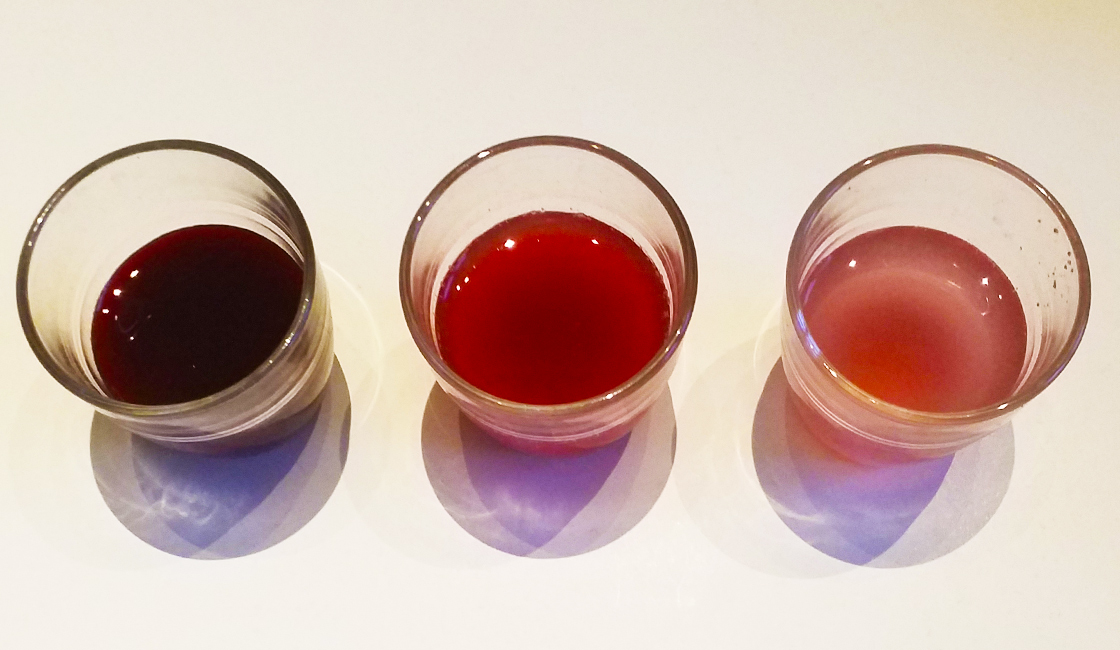 Sirop dense aux fruits rouges – Polars et pot au feu